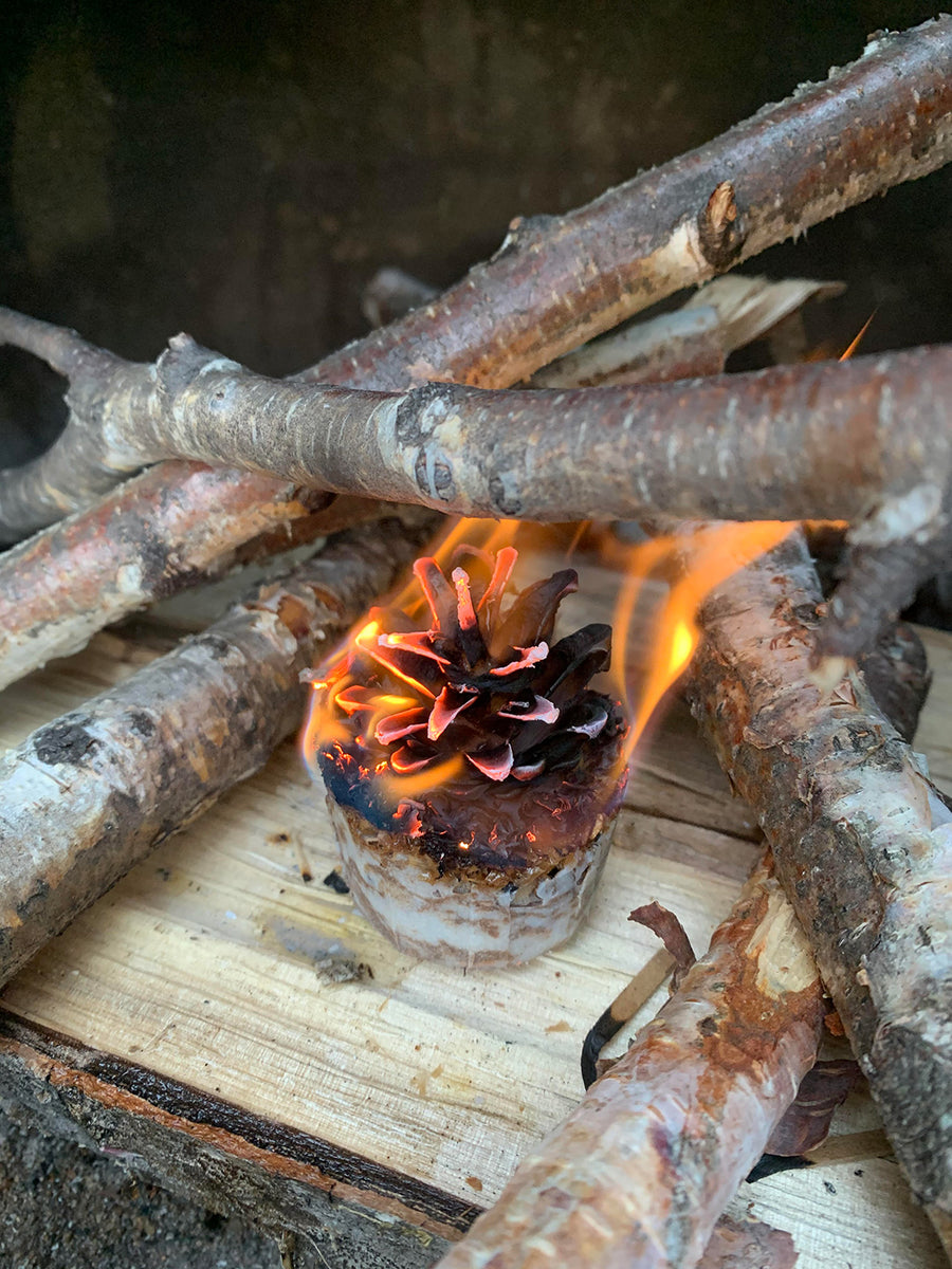 Pinecone Fire Starters – Little Wood Chipper co.